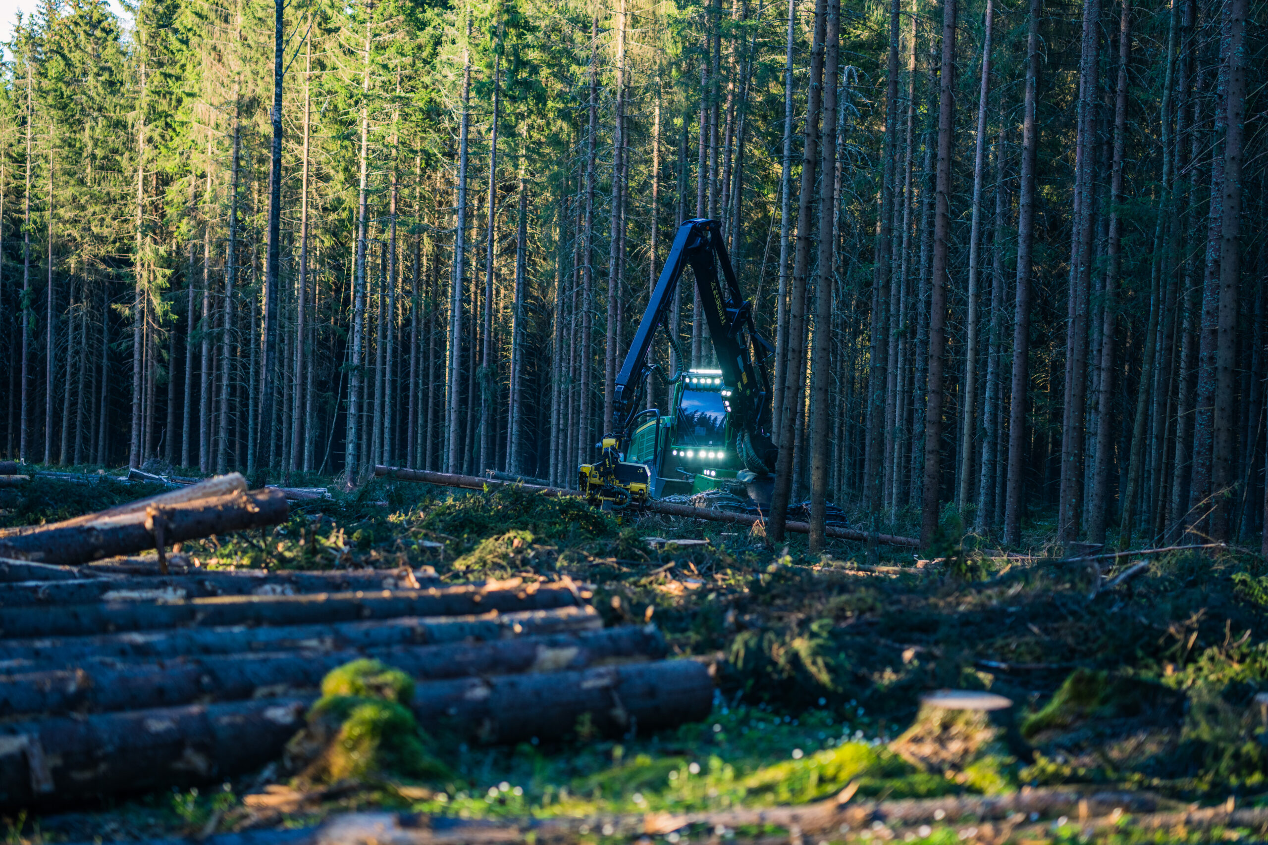 Skogsoperatør - OKAB